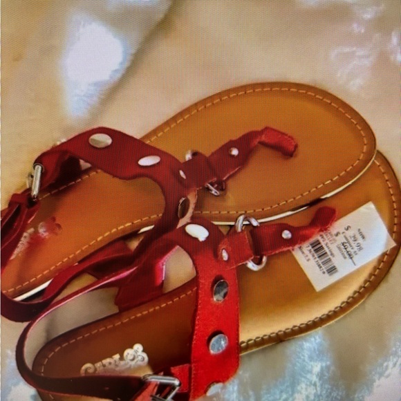 Carlos by Carlos Santana | Shoes | Nwt Carlos By Carlos Santana Womens ...